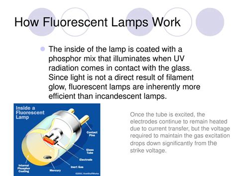How Do Fluorescent Light Bulbs Work Simple Explanation At Mary Settle Blog