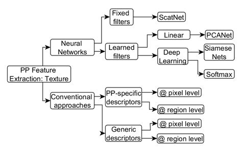 Overview Of Palmprint Feature Extraction Techniques Download Scientific Diagram