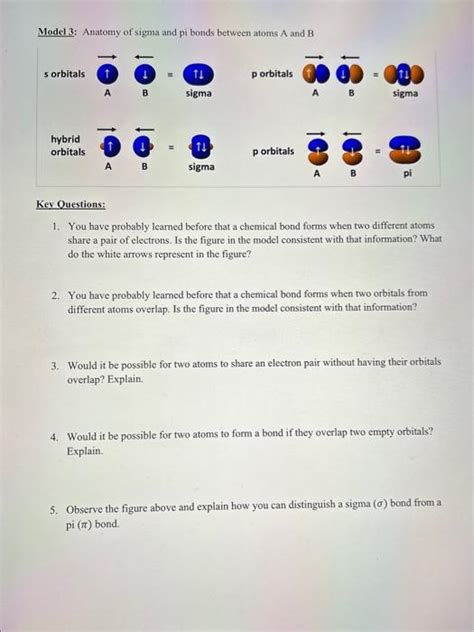 Solved Model Anatomy Of Sigma And Pi Bonds Between Atoms Chegg