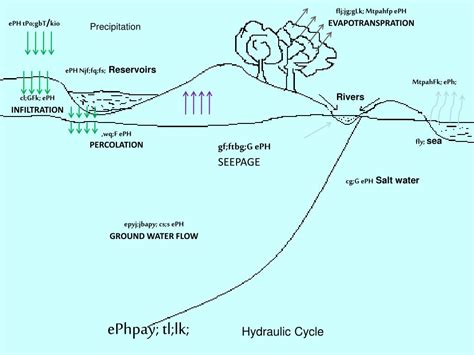 Ppt Conjunctive Use Of Surface And Ground Water For The Economic Food Productivity Powerpoint