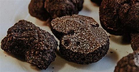 Tabled Julia Watson Substack