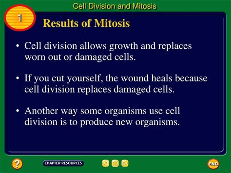 Ppt Chapter Cell Reproduction Powerpoint Presentation Free Download