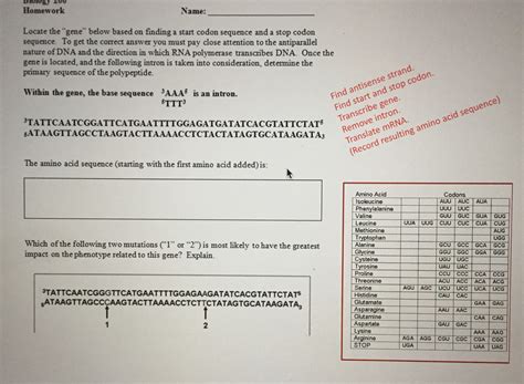 Solved Locate The Gene Below Based On Finding A Start