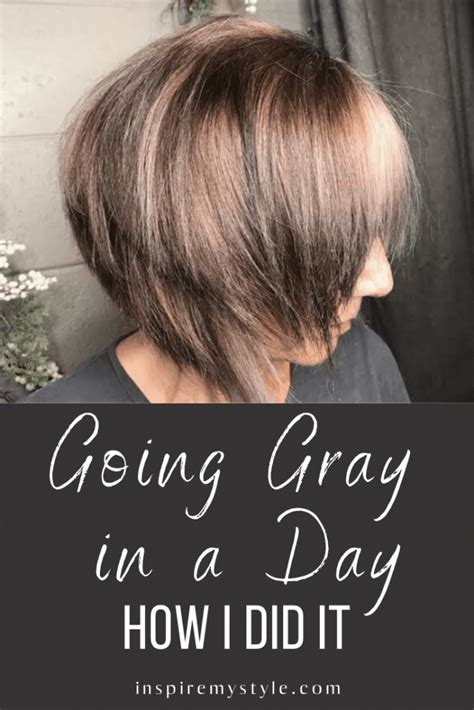 How To Go Gray Quickly My Experience Going Gray In A Day