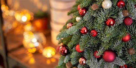 December Nærmer Sig Derfor Bør Du Pynte Tidligt Op Til Jul