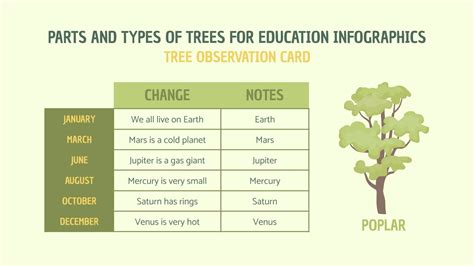 Parts Types Of Trees For Education Infographics