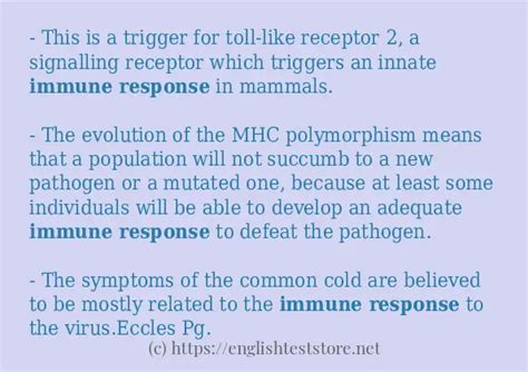 Immune Response Sentence Examples Englishteststore Blog