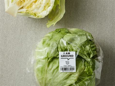 양상추 양배추 다른거였어요