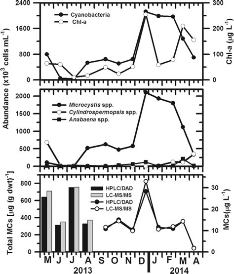 Temporal Variations In The Abundance Of Cyanobacteria And Its Major