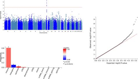 Genome Wide Association Analysis Reveals Potential Genetic Correlation And Causality Between