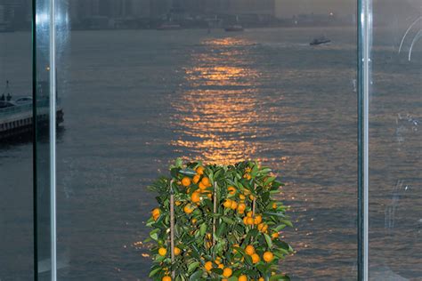 A Portrait Of Shanghai By Yuan Xiaopeng Ignant