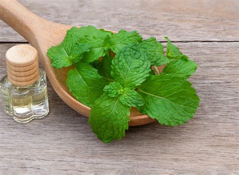 7 Testosterone Killing Foods You Should Always Avoid