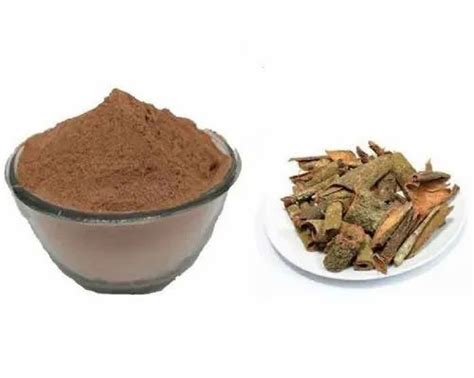 Ashok Chhal Powder At ₹ 65 Kg Saraca Indica Bark In Pali Id 24431943773