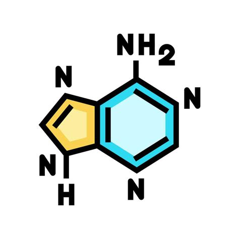 Nucleic Acids Drawing Nucleic Acids Function Examples And Monomers