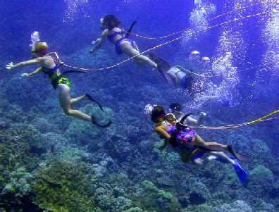 Snuba Maui Private Dive Tours Shorline Snuba