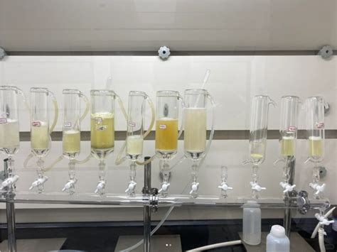 Maintenance Of Hplc Acid Cleaning And Passivation、