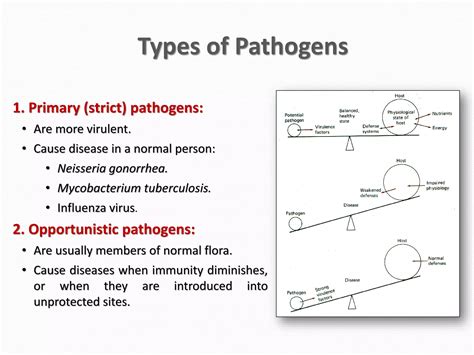 Bacterial Pathogenesis And Virulence Factors PDF
