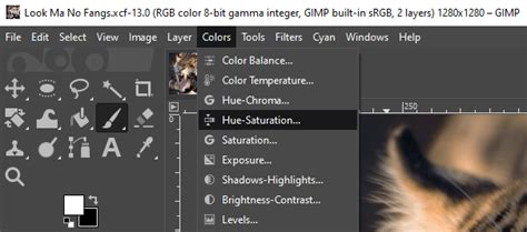 How To Whiten Teeth In GIMP Steps With Screenshots