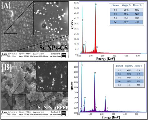 Factorial Design Optimized And Gamma Irradiation Assisted Fabrication Of Selenium Nanoparticles