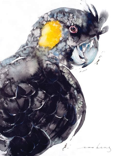 Yellow Tailed Black Cockatoo Sold Drawing By Soo Beng Lim Saatchi Art Illustration Art