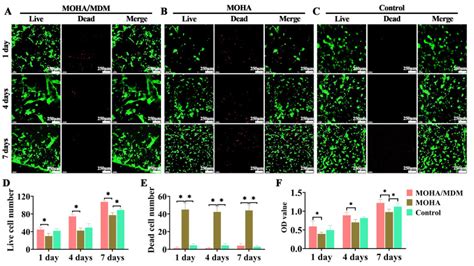 A Double Cross Linked Injectable Hydrogel Derived From Muscular Decellularized Matrix Promotes