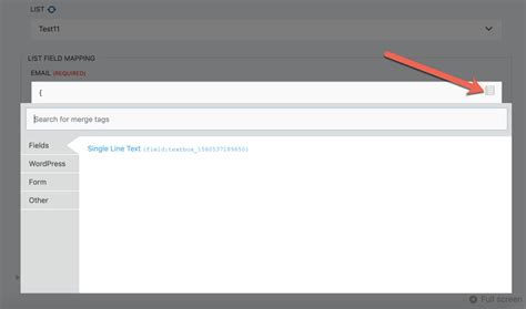 how to connect mailpoet add on in wordpress ninja forms