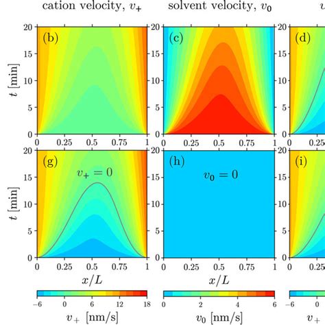 Comparing Spatial Distribution And Time Evolution Of Velocity Fields Download Scientific
