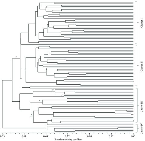 Un Weighted Pair Group Method With Arithmetic Mean Dendrogram Among 90