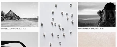 Seeking Css Custom Code For Image Gallery Upon Cursor Hover Overlay Have Description Appear