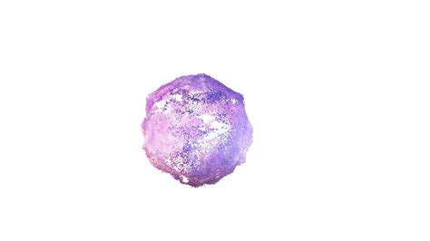 Solved Maya Software Rendering Particle Materialcolor Not Shownall