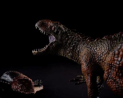 The Battle Of Carcharodontosaurus Vs Giganotosaurus