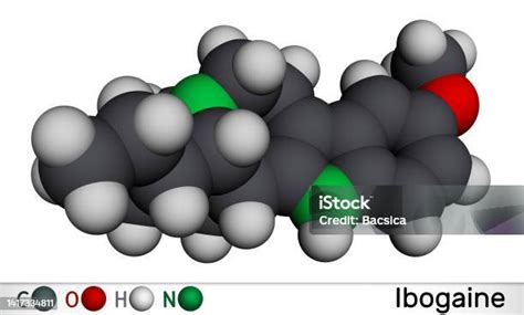 이보가인 분자 그것은 모노 테르 페노이드 인돌 알칼로이드 정신 활성 물질 환각제 환각제입니다 분자 모델 3d 렌더링 0명에 대한