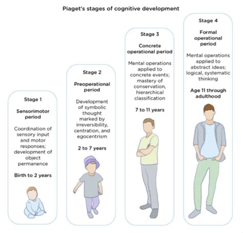 Ch 9 Ap Psych Review List Flashcards Quizlet
