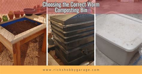 Choosing The Correct Worm Composting Bin