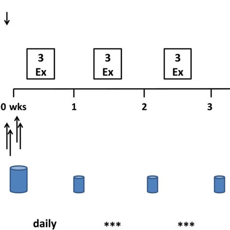 Study Design Scheme Download Scientific Diagram
