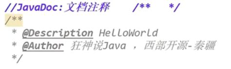 Java编程：注释、类型转换与scanner使用 Csdn博客