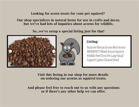 Tiny Acorns Small Real Acorns Natural Acorns Rustic Decor Thanksgiving