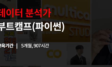 멀티잇 데이터 분석가 부트캠프파이썬 수강생 모집 20대에게 가장 필요한 커리어 정보 슈퍼루키