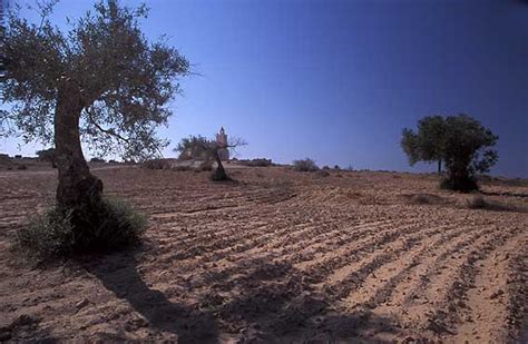 Jerba Pictures El Ghriba Synagogue Photography Gallery Of Jerba