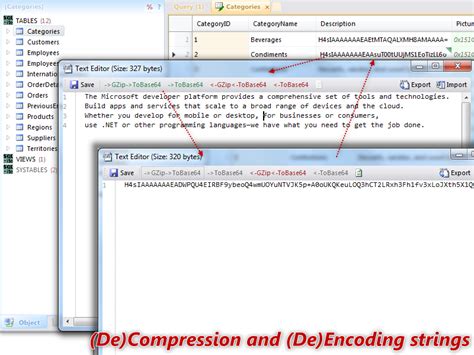 Database NET Features