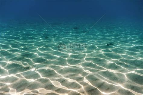 沙质海底水下背景高清图片下载 正版图片503096801 摄图网