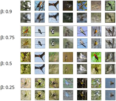 230500980 Learning Structured Output Representations From Attributes Using Deep Conditional