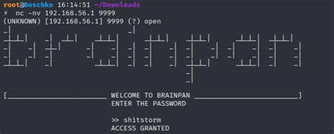 The Braindead Buffer Overflow Guide To Pass The Oscp Blindfolded