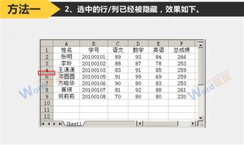 怎么在Excel 中如何隐藏行或列 excel word ppt使用教程网
