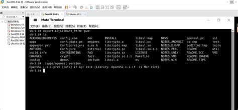 20201220蔡笃俊——实验二 Openssl Api使用 Acacacac 博客园