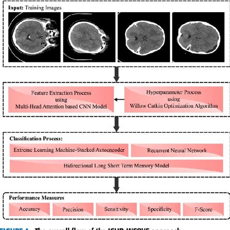Figure 1 From Intracranial Haemorrhage Diagnosis Using Willow Catkin Optimization With Voting