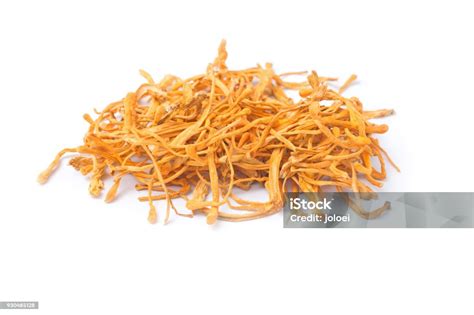말린된 동 충 하 초 한국산 흰색 배경에 고립입니다 종 조 동 종 카오 0명에 대한 스톡 사진 및 기타 이미지 0명 건강