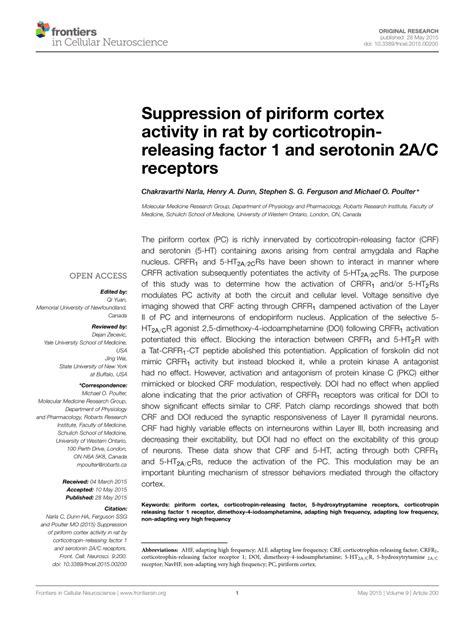 Pdf Suppression Of Piriform Cortex Activity In Rat By Corticotropin