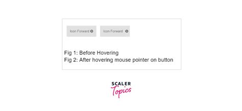 What Is The Hover Selector In CSS Scaler Topics