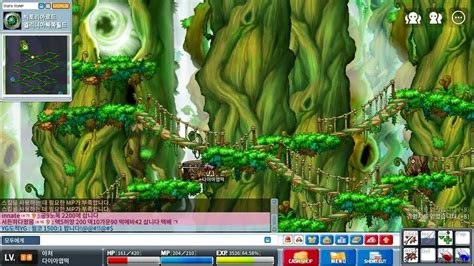 메이플랜드 🍁 엘리니아 꿀 사냥터 슬라임 스텀프 많이 나옴 사람 없음 Youtube